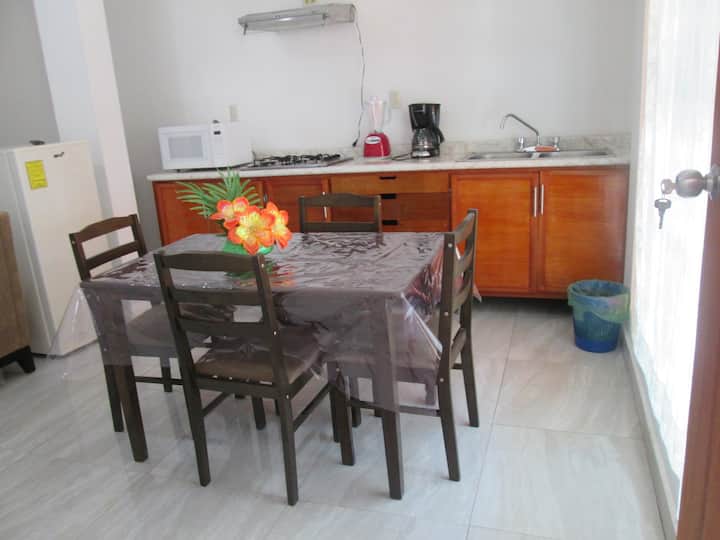 Comodo Departamento Cerca De Todo. - Mazatlán