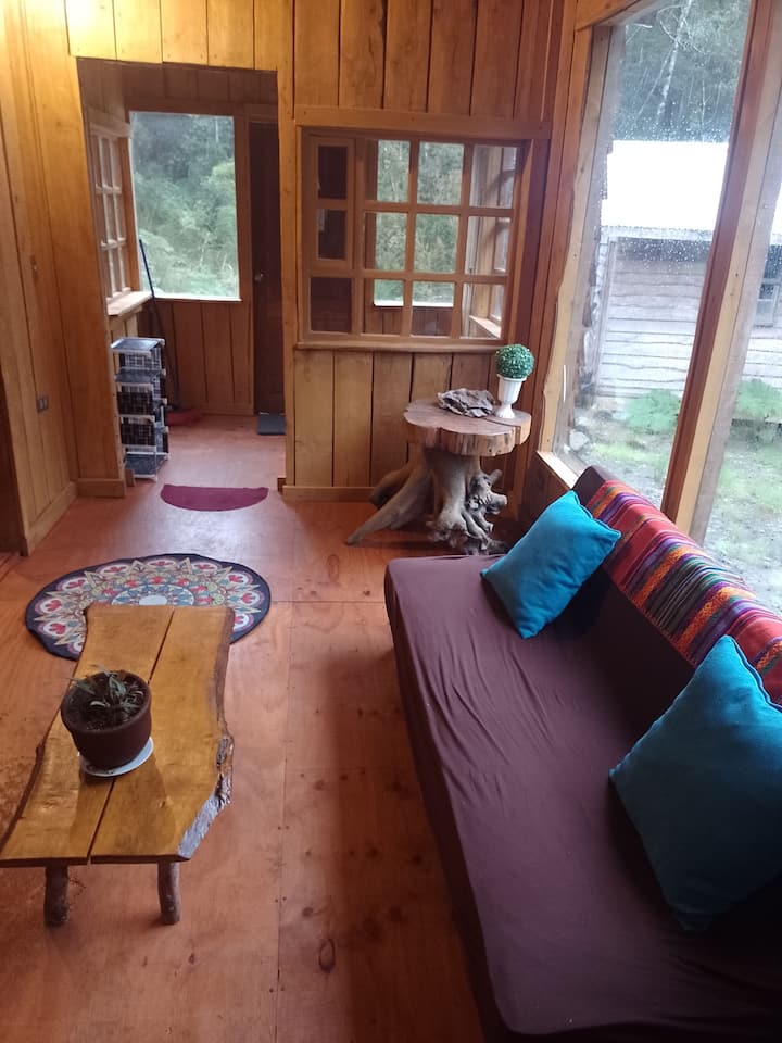 Lugar Encantador Con Vista Al Bosque - Chaiten