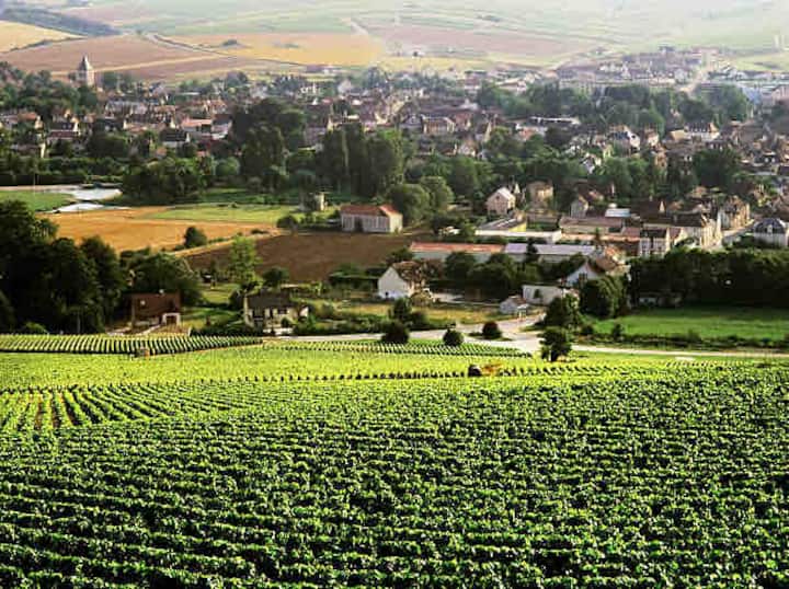 Logement Proche Chablis/auxerre (Wifi) - Chablis