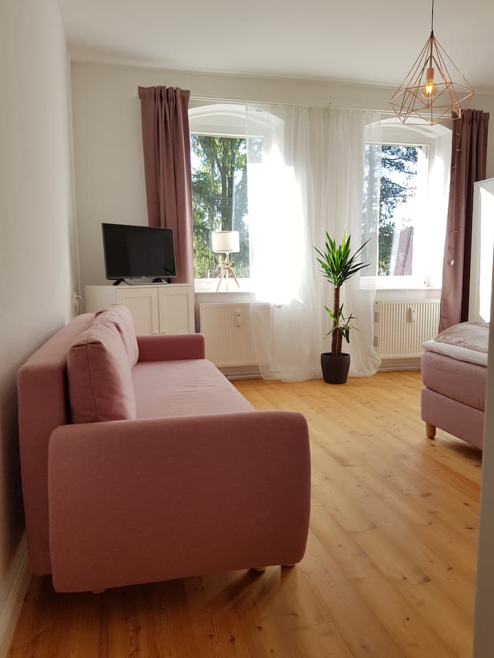 Stilvolle Wohnung In Komfortabler Lage - Dresden