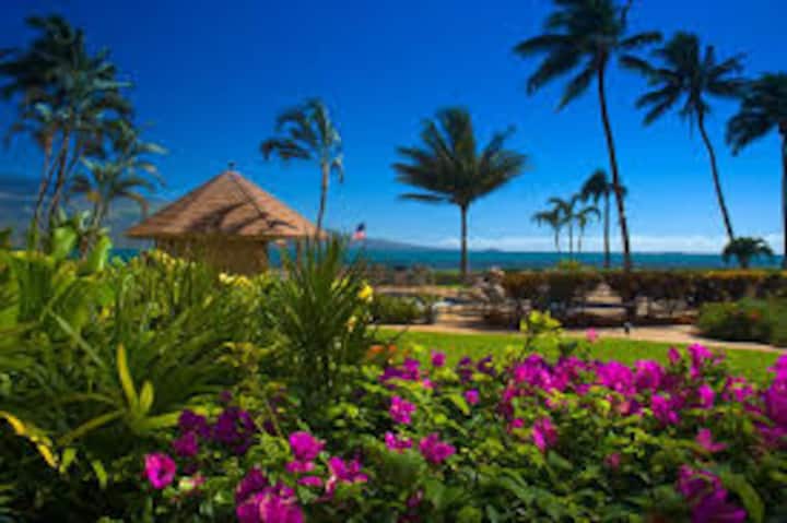Maalaea 5 Star 0ceanfront Island Sands 100 - Kahului, HI