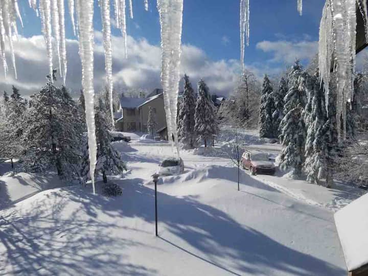 Ski, Hike, Swim, Golf, Relax!  Updated And Cozy! - Laurel Ridge State Park, Stahlstown