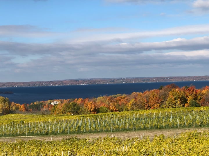 Close To Downtown But Better Between The Bays! - Traverse City