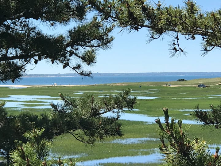 Walk To Beach, Beautiful Views! - Wellfleet, MA