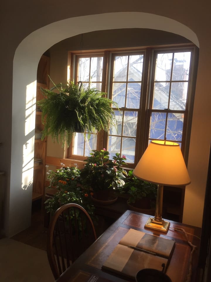 Tree Tops -  Sun Shine Suite - New Haven, CT