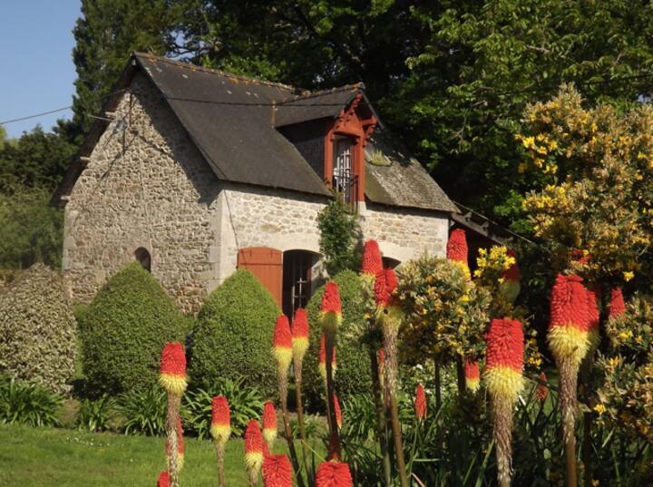 Petit Gîte Tout Confort En Bord De Mer - Saint-Cast-le-Guildo