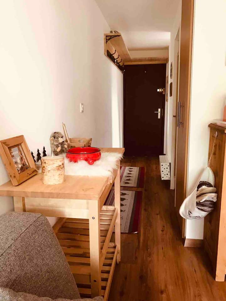 Au Pied Des Pistes, Confort Et Wifi Garanti !” - La Salle-les-Alpes