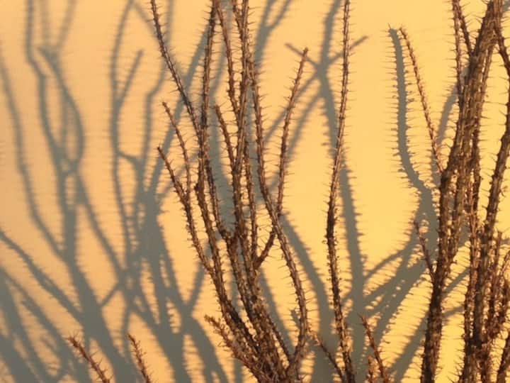 Luna Casita At The B-side - Marfa, TX