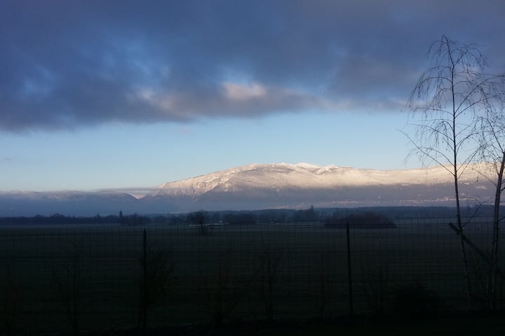 Cosy à Viry - Saint-Julien-en-Genevois