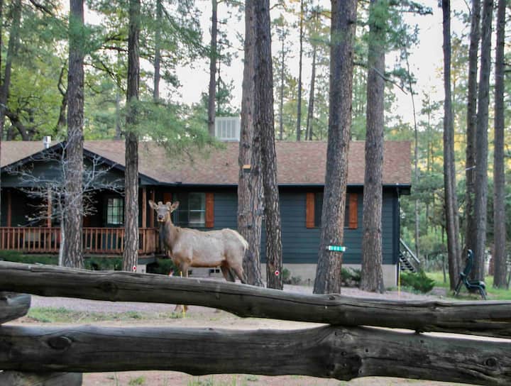 Fossilwoodsgetaway Near Historic Schoolhouse - Strawberry, AZ