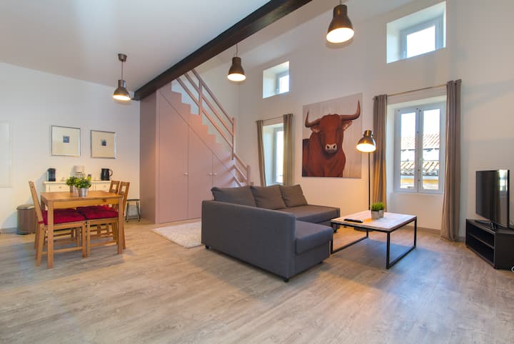 Quiet Double Volume Loft - Blaye