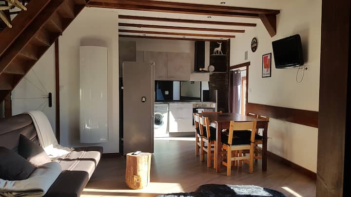 Location Chalet Pour 8/10 Personnes - Alpe D'huez - Oz-en-Oisans