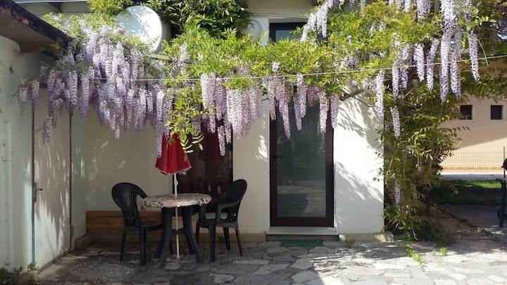 Depandance In Amazing Friuli Venezia Giulia. - Pordenone