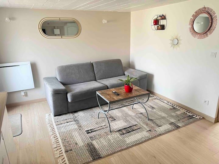Appartement 2 Pièces Lumineux ! - Orléans