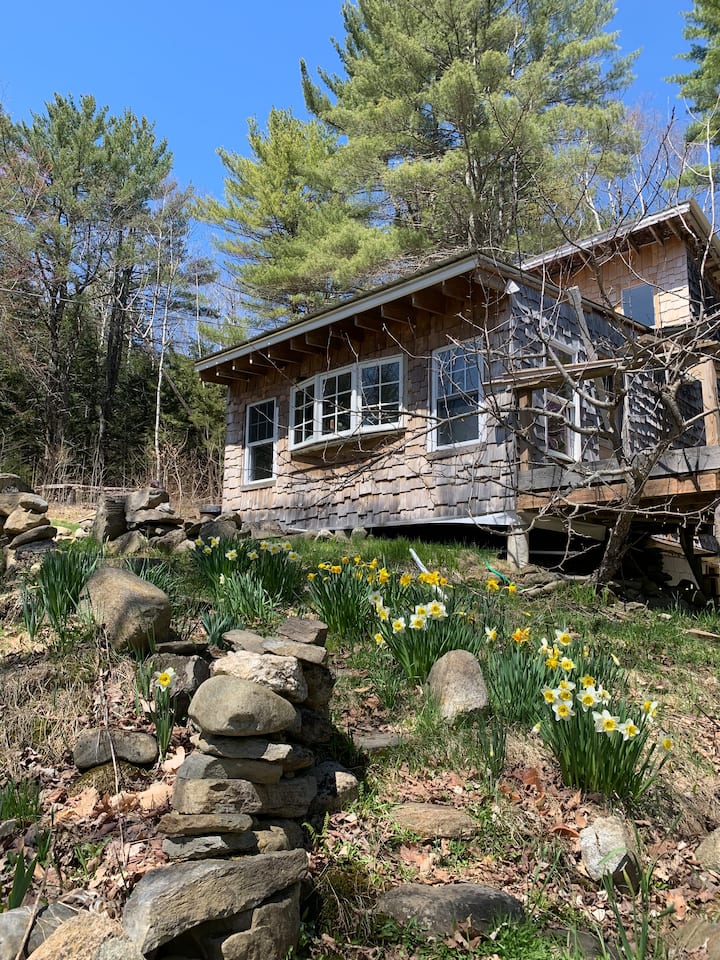 The Artist’s Cabin @ Stonehill Nature Hostel - 巴勒莫