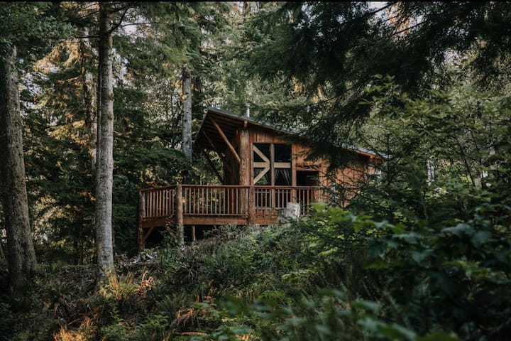 Trapper Cabin - Upgrading Your Camping Experience - Forks, WA
