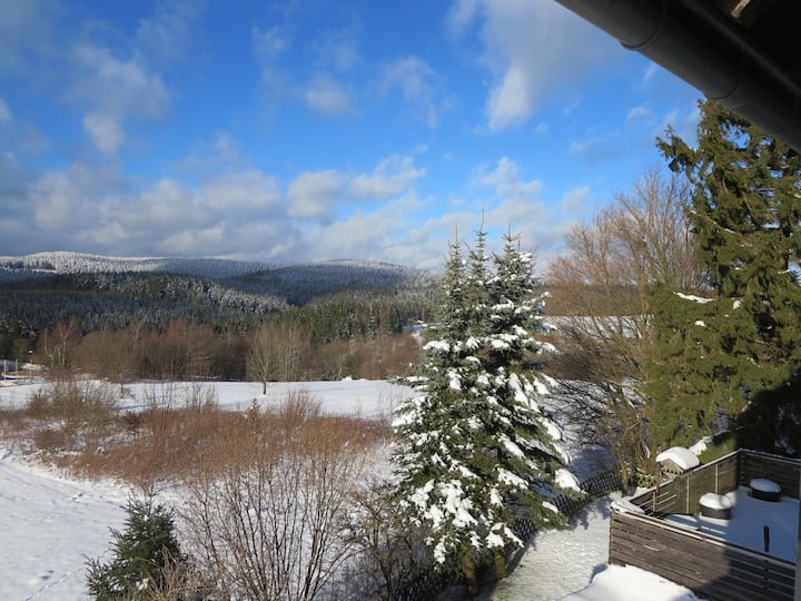 Ferienwohnung Mit Blick Auf Die Harzer Berge - Wieda