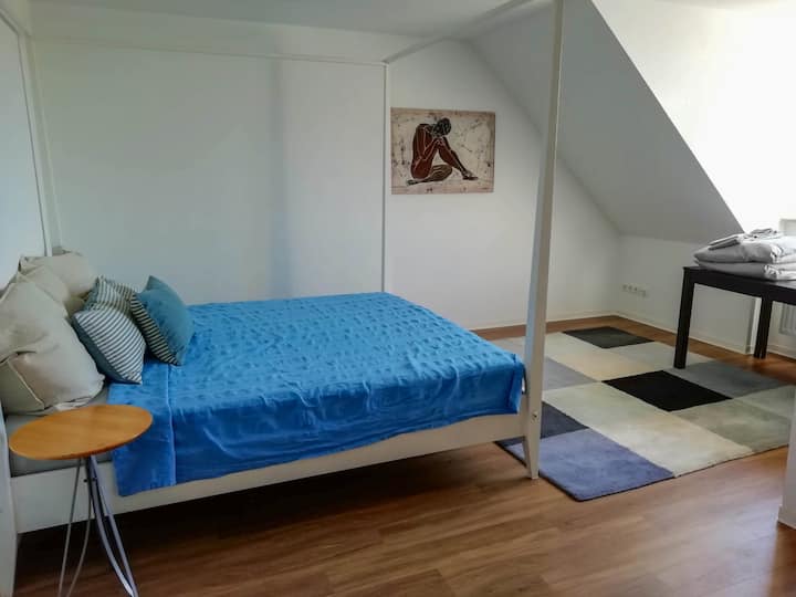 Gemütliche Zwei-zimmer- Wohnung In Elbnähe, 50 Qm - Dresden