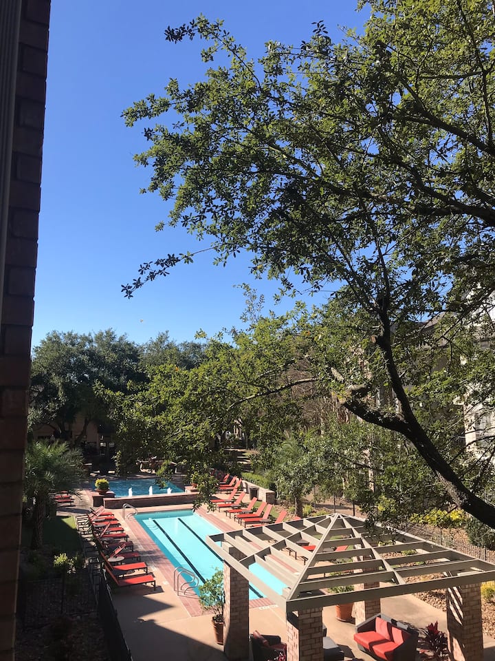 2021 Renovated 1 Bedroom Apartment Md Anderson Tmc - Houston, TX