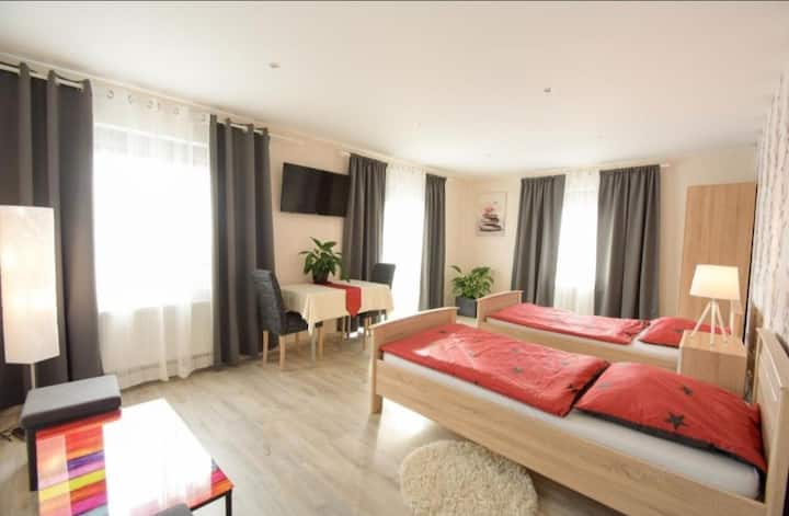 Deluxe Business Apartment *Wifi*, *Free Parking* - Marktheidenfeld