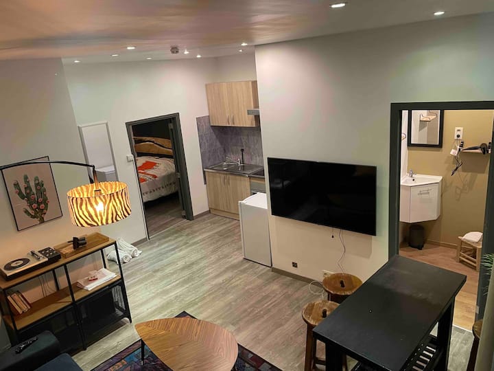 Dodo 1 - Appartement Hyper Centre - Wanze
