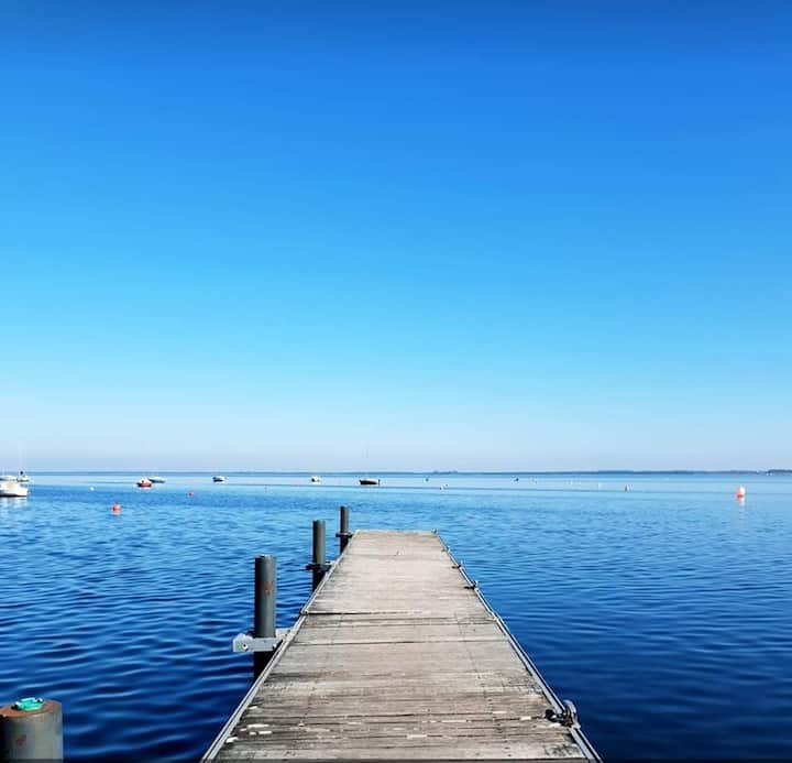 Appartement Au Milieu Des Pins Entre Lac Et Océan - Carcans