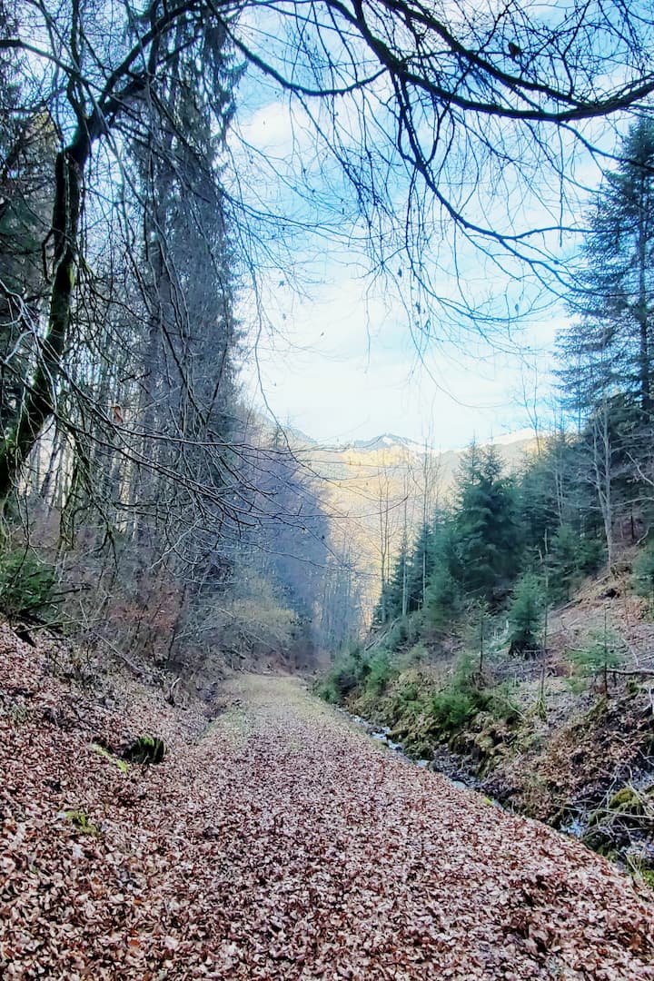 Morillon Village * Les 4 Saisons En Haute Savoie - Flaine