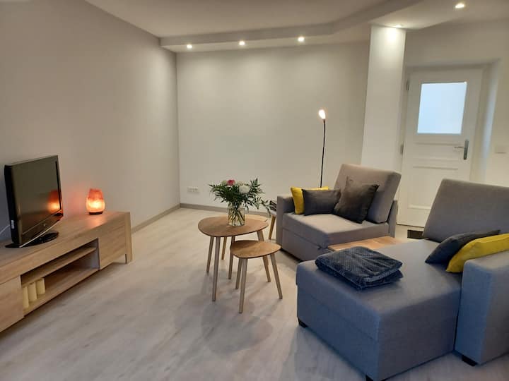 Die, Bel Appartement Proche Gare Et Centre Ville. - Die