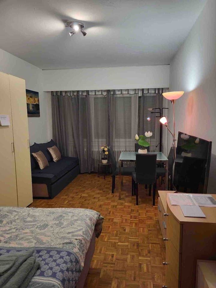 Estudio En Lausanne - Lausanne