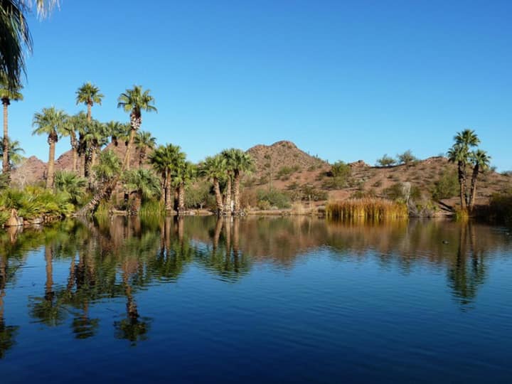Park Setting With Pool! S. Scottsdale, Asu, Phx - Tempe, AZ