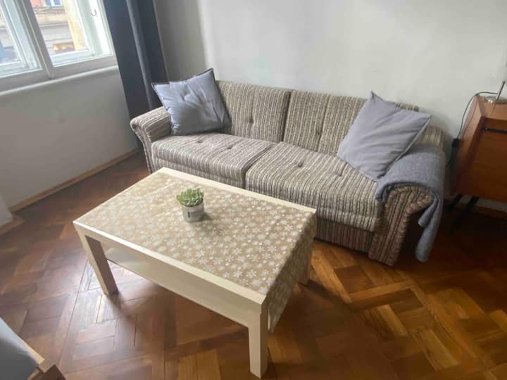 Very Old Retro Charming Flat In Vinohrady Prague 2 - Prague
