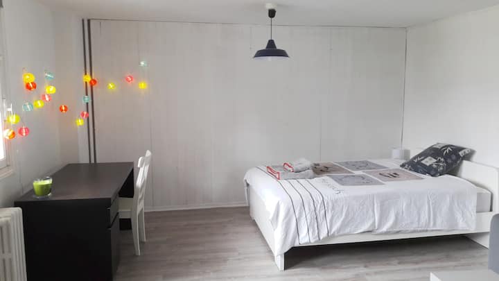 Appartement Idéal Dans Bâtiment Type Haussmanien . - Tours