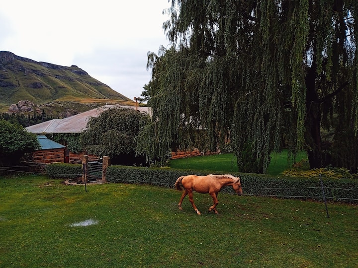 Ugie Vacation Rentals & Homes - Eastern Cape, South Africa | Airbnb