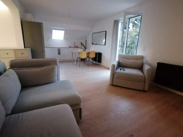 Loka3 -T2 / 65 M2 Centre Ville - Annemasse