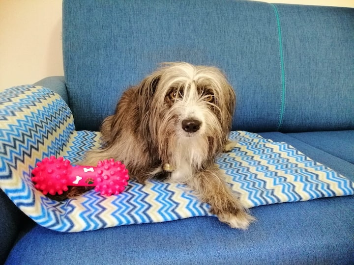 Appartamento "Trieste" A Marone Sul Lago D' Iseo - Zone