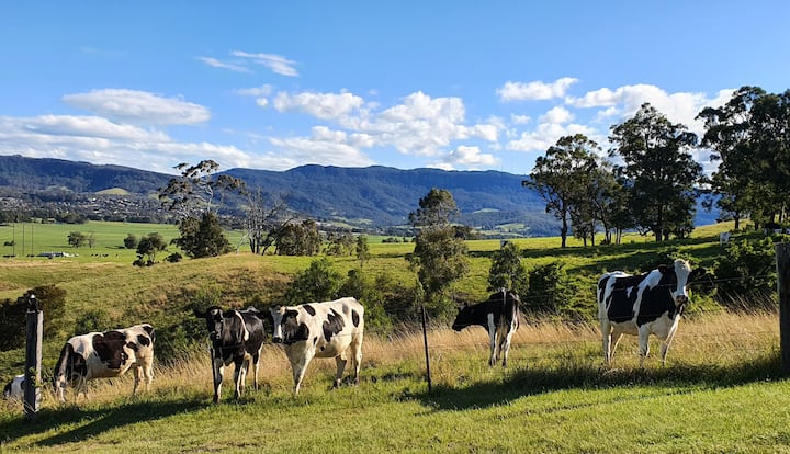 Nireasta View- The Illawarra's Hidden Splendour - Kiama