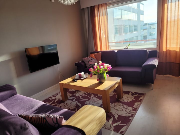 Viihtyisä Kolmio Lähellä Keskustaa - Jyväskylä