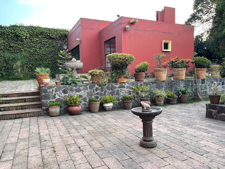 Colonial Suite In Casa De Los Pájaros - Mexico City