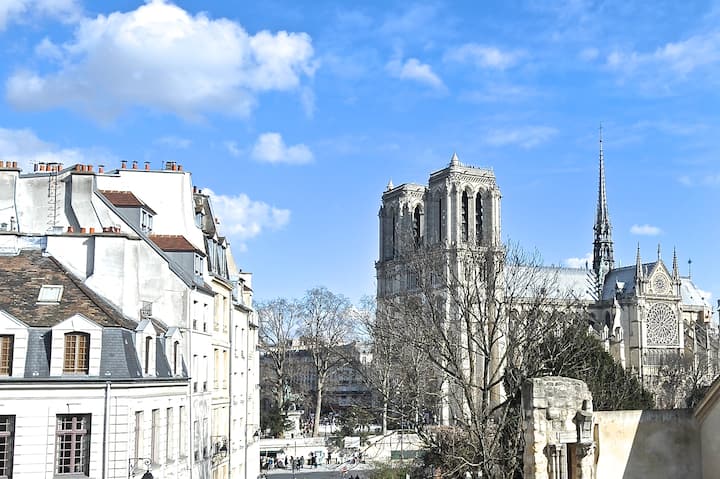 Unique : Vue Sur Notre Dame, Fdl - París