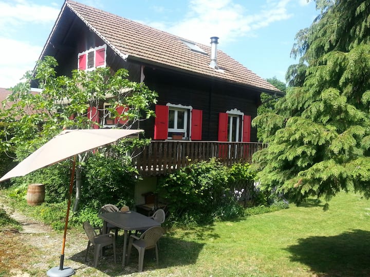 Chalet Indépendant 70m2  Jardin Et Parking Privé - Thonon-les-Bains