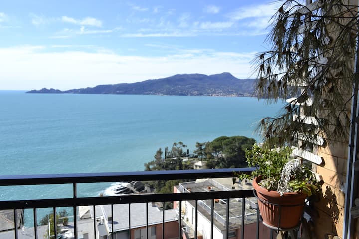 Attico Della Conchiglia Vista Portofino - Zoagli