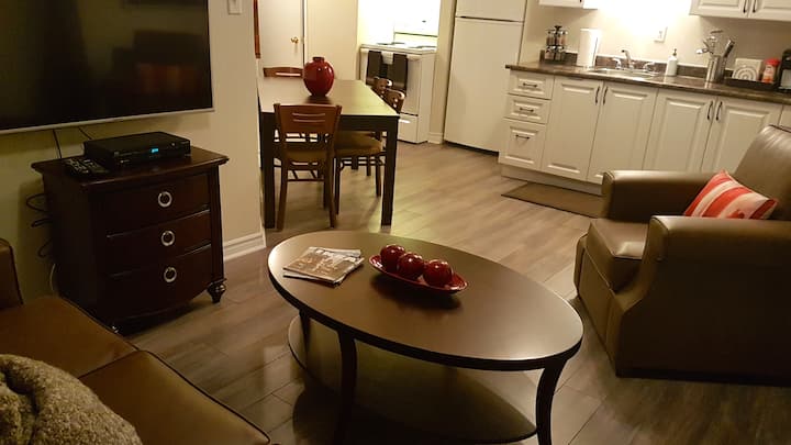 Amazing Apartment 5 Mins From Downtown Ottawa - 가티노