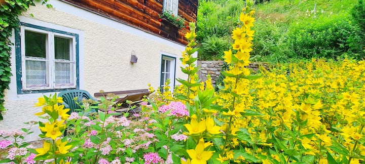 Traditionelles Haus Mit Seeblick - Bischofshofen