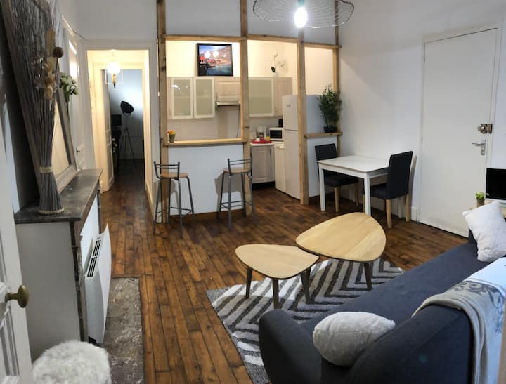 Appartement Typique Champenois Avec Petit Jardin - Troyes