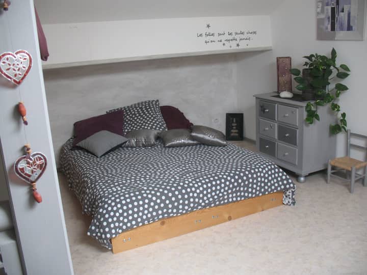 Maison Calme Atypique Et Accueillante - Lunéville