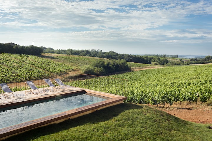 Mas Au Cœur D'un Domaine Viticole En Ab - Vauvert