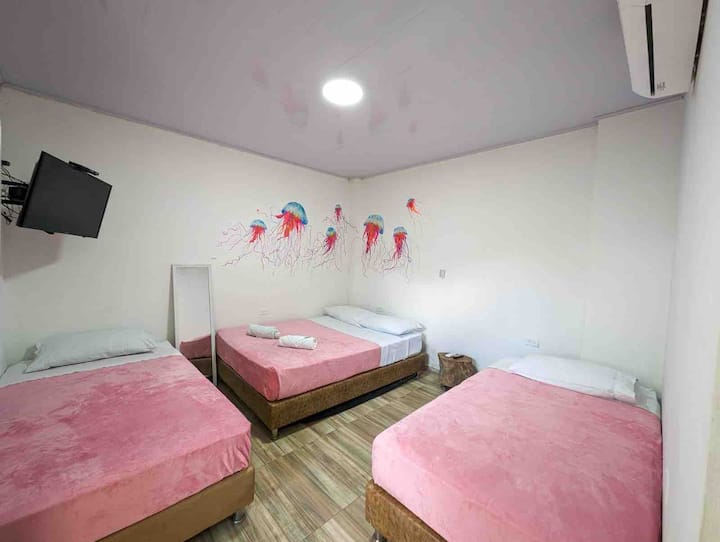 Habitacion Medusa - San Andrés