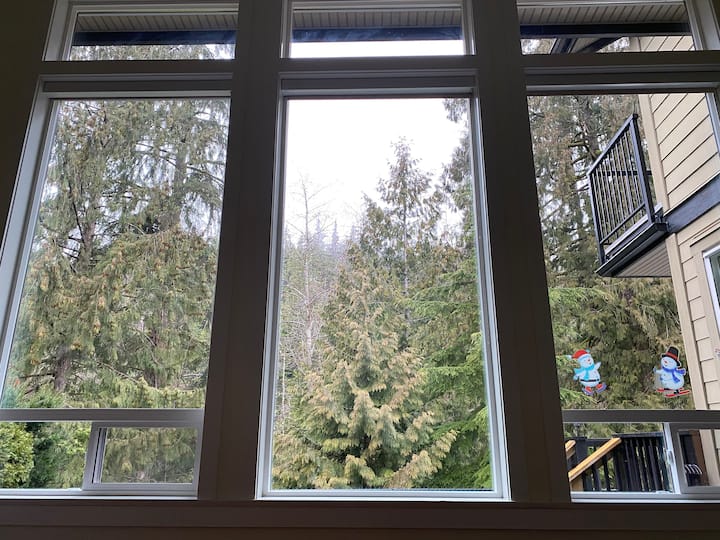 Luxury Lake Retreat W/ Central Ac&7 Person Hot Tub - Coquitlam
