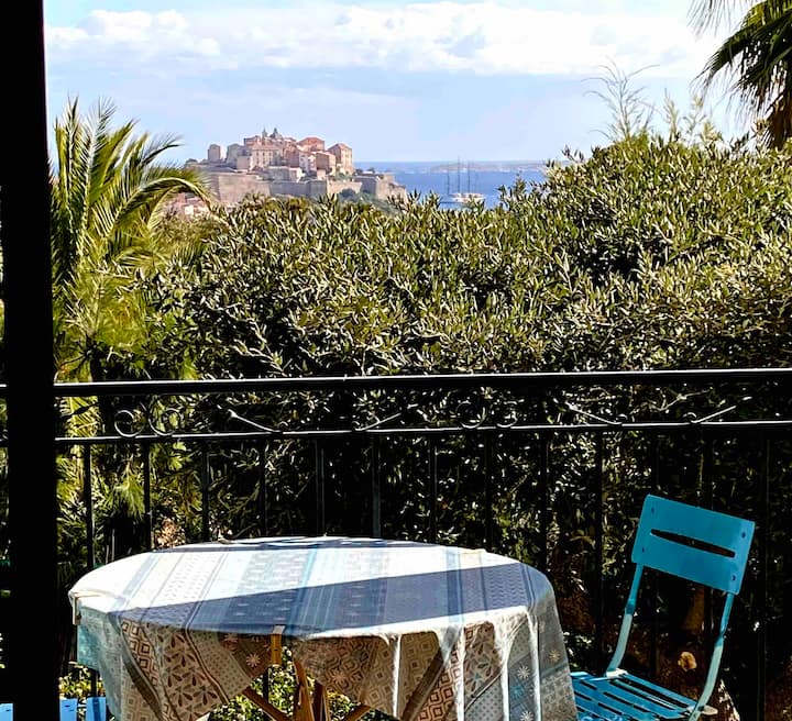 Appartement Dans Villa, Jardin,vue Mer Et Montagne - Calvi