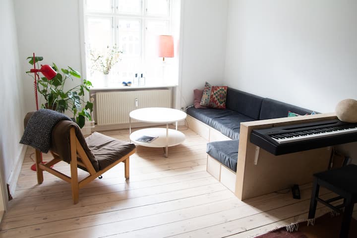 Spacious And Central Located Apartment - Copenhaguen